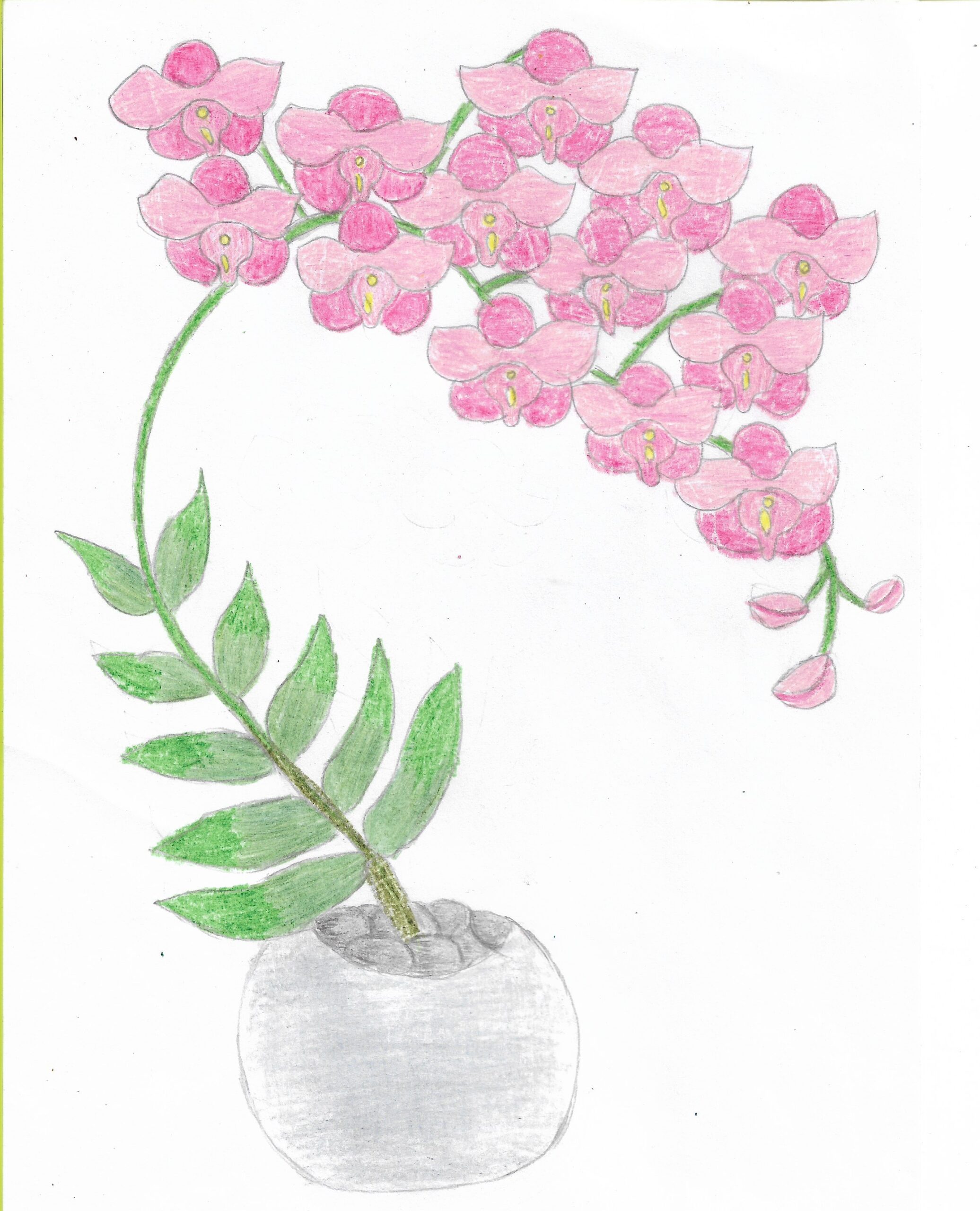 ORCHID CROSS STITCH - Crafting is My Hobby