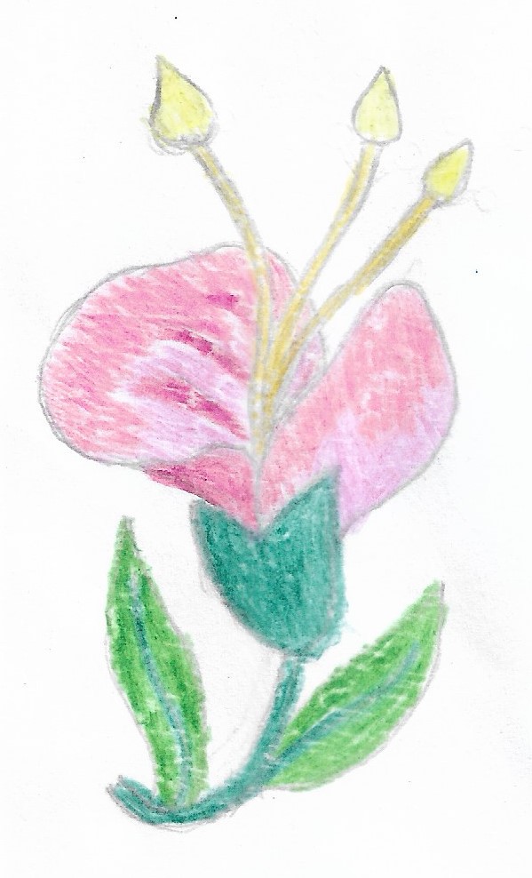 CROSS STITCH MINI FLOWERS - Crafting is My Hobby