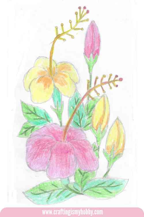 2 HIBISCUS CROSS STITCH PATTERNS - Crafting is My Hobby