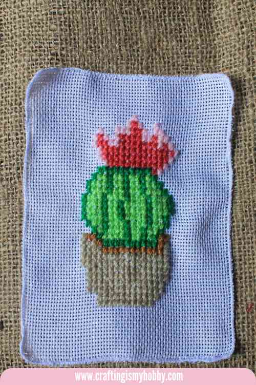 CACTUS CROSS STITCH FOR BEGINNERS - Crafting is My Hobby